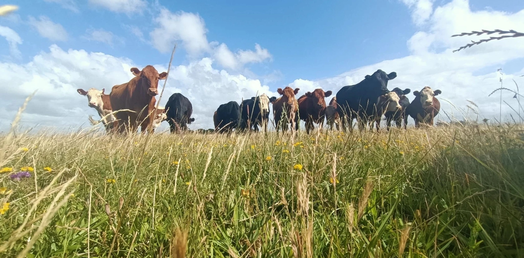 La situación de Grupo Larrarte y la visión desde el SNIG