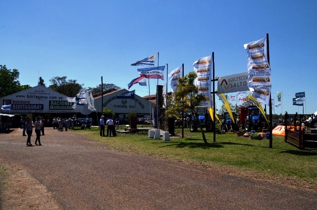 La Expo Salto 2024 se prepara para un evento memorable del 3 al 6 de ...