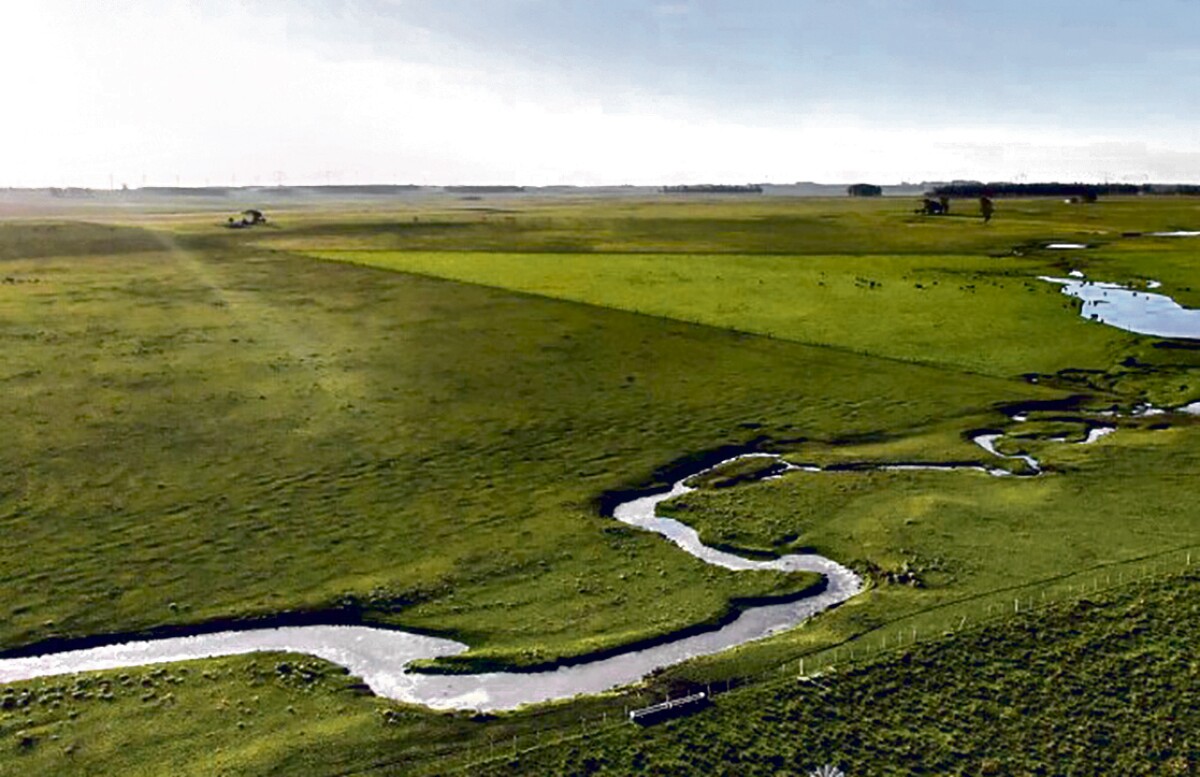 La tierra como refugio seguro en un mundo volátil, según Federico Delgue